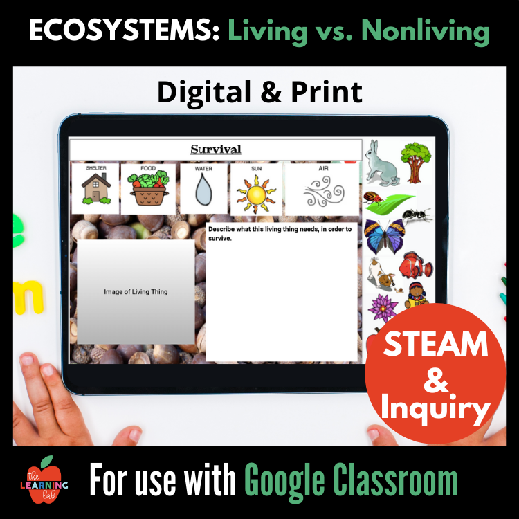 Ecosystem BUNDLE for Distance Learning: Google Classroom and Printable ...