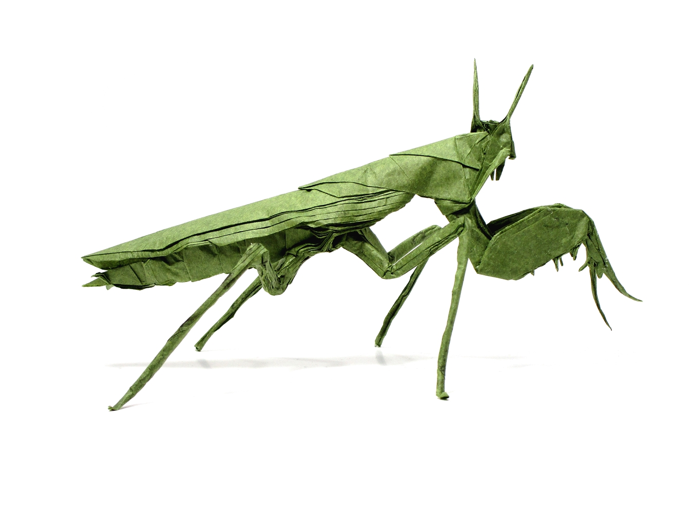 Mariano-Mi mundo el Origami: Boxer Mantis