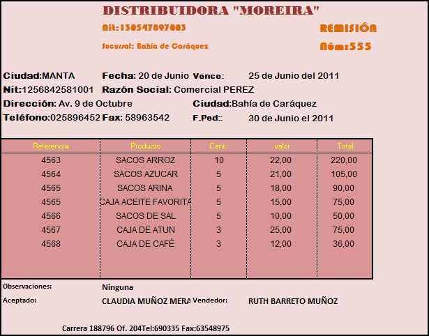 CONTABILIDAD COMPUTARIZADA: REMISION