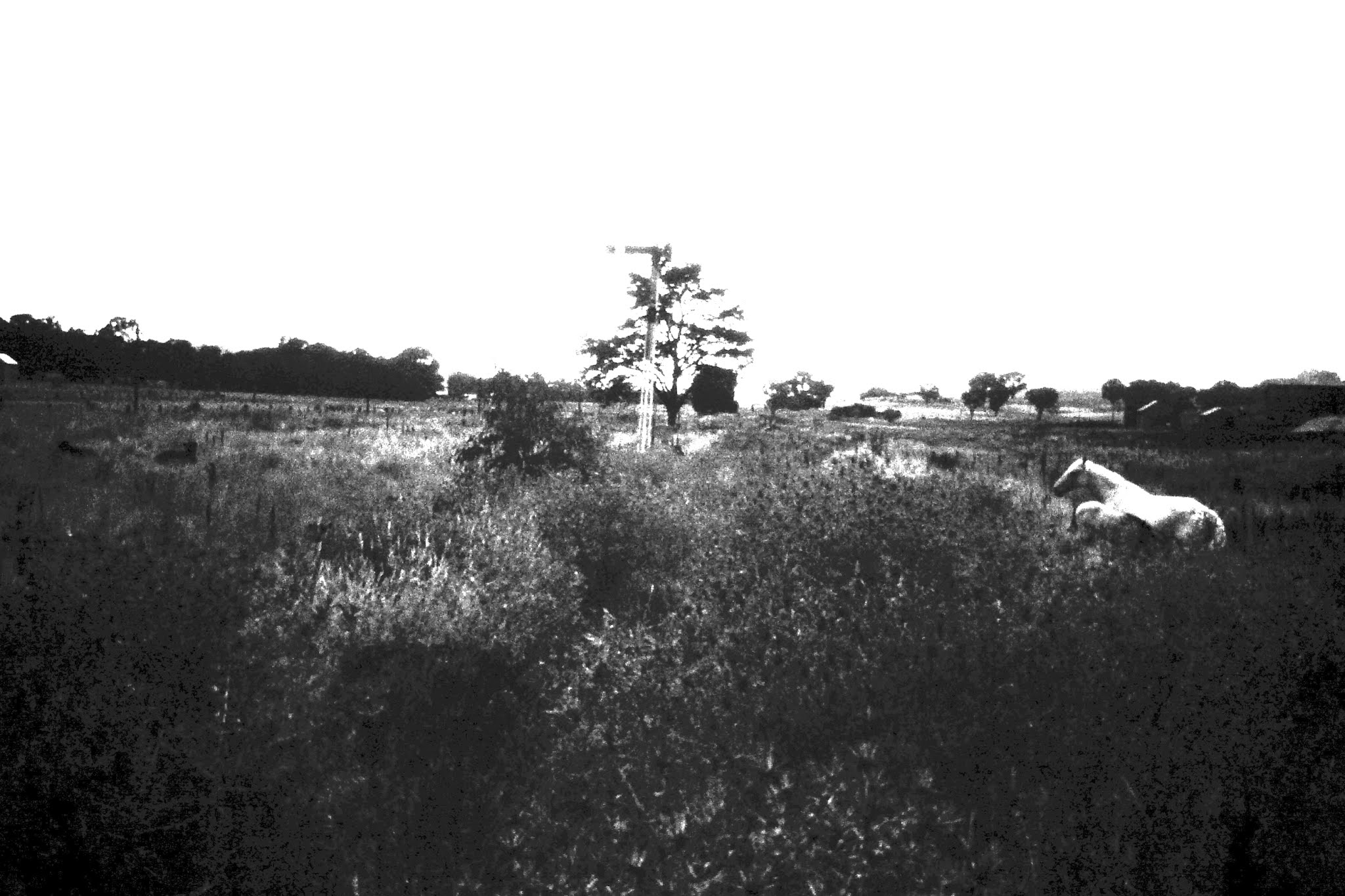 Building Wagga: A visit to Humula