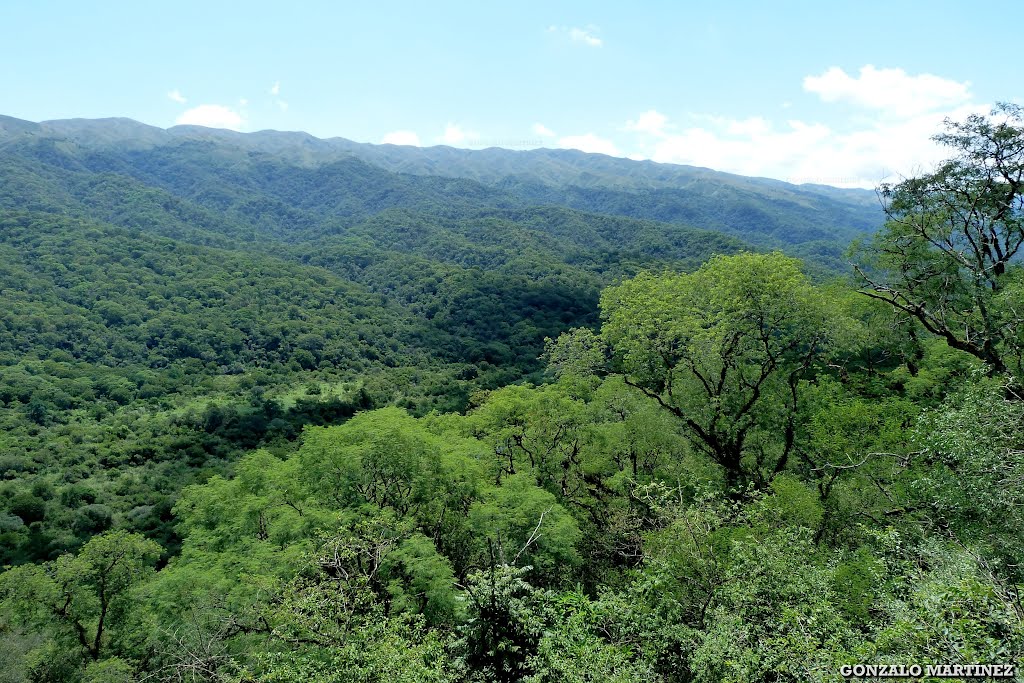 APUNTES - REVISTA DIGITAL DE ARQUITECTURA: Las ocho regionaes naturales ...