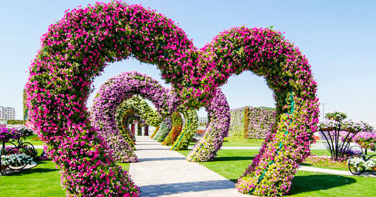 Paling Bagus 25+ Gambar Taman Bunga Png - Gambar Bunga Indah