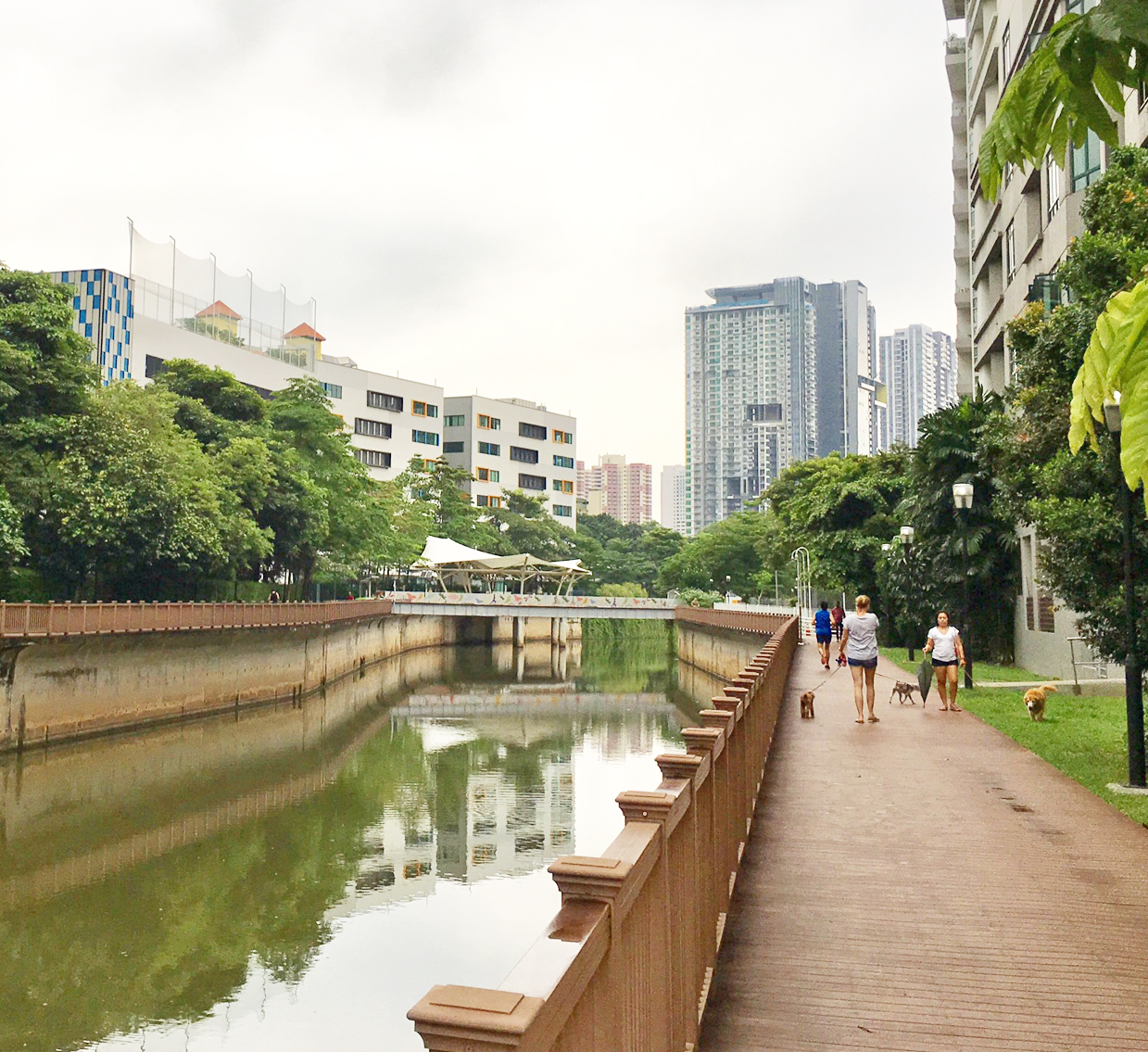 Running Route along Alexandra Park Connector