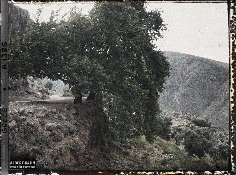 ΔΕΛΦΙΚΑ ΧΡΟΝΙΚΑ: ΟΙ ΕΓΧΡΩΜΟΙ ΔΕΛΦΟΙ ΤΟΥ 1913