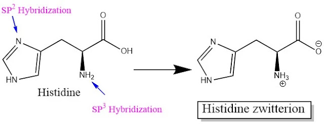 Zwitterion and isoelectric point: Definition, Separation of amino acid ...