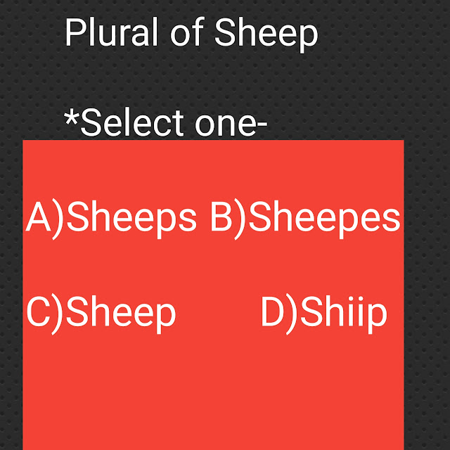 Plural Of Sheep Plural For Sheep What Is The Plural Of The Word Sheep 