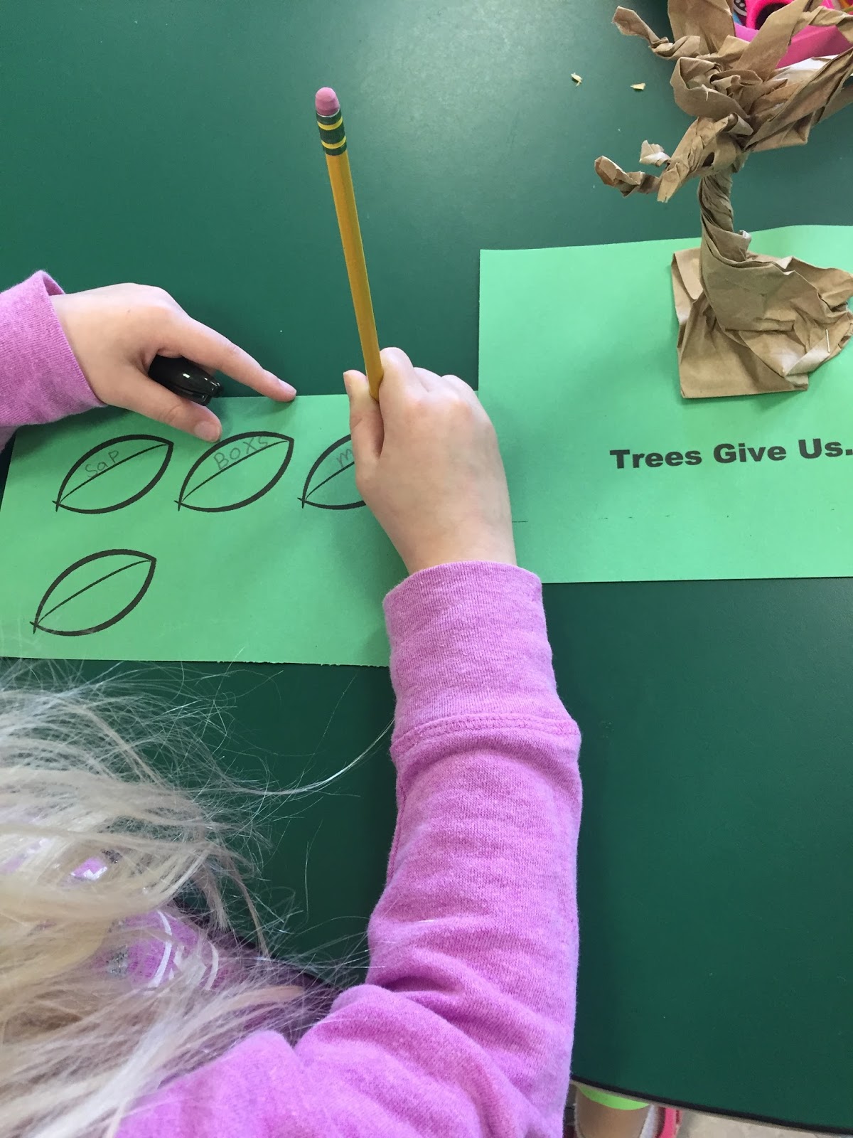 Learning About Trees - Firstieland - First Grade Teacher Blog