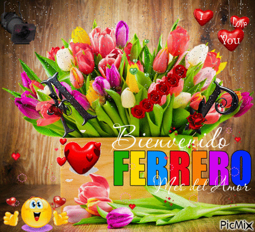 A Reiir Sin Parar y Mucho Más: Gifs Feliz Febrero