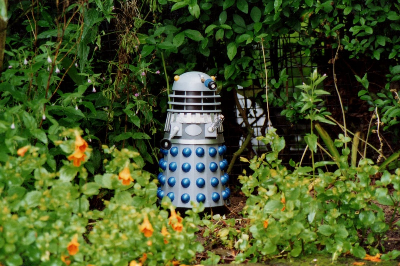 CRIVENS! COMICS & STUFF!: CAUGHT ON CAMERA - DALEK VISITATION...