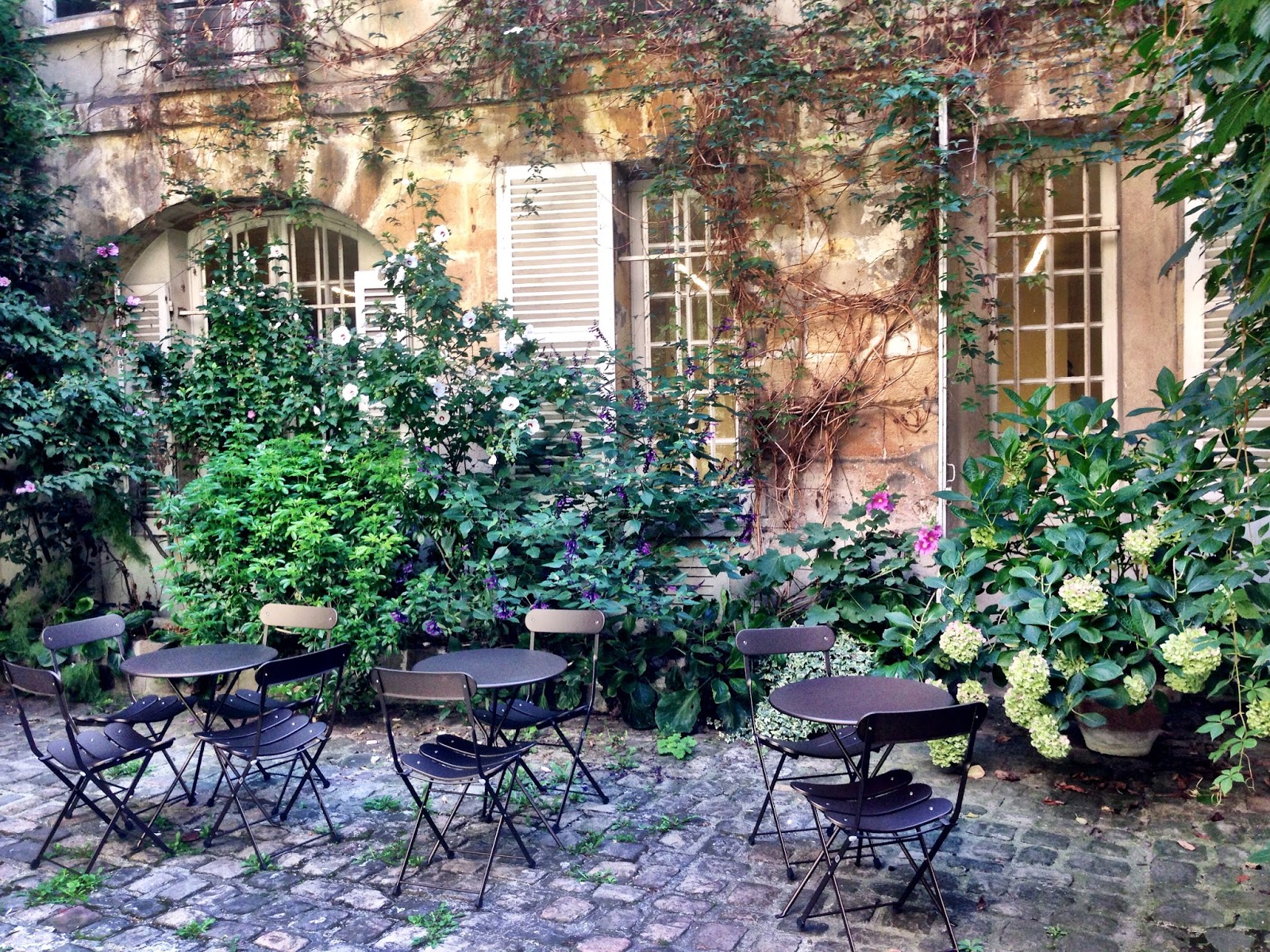 Focus On Paris: Courtyard cluster