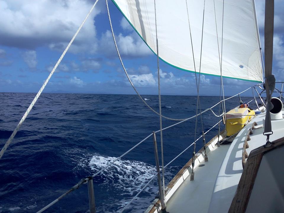 Salt Whistle Sailing