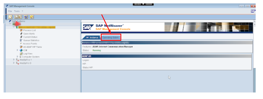SAP BASIS MADE EASY: SAP MC