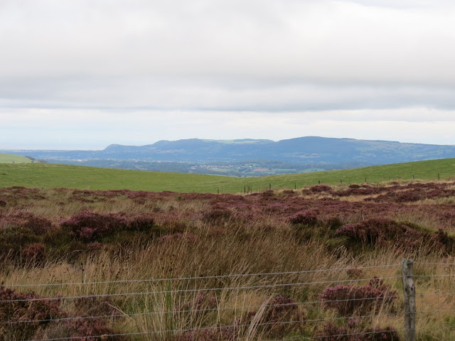 Camping Adventures: Return to Hafod Hall - Llyn Brenig Awaits!