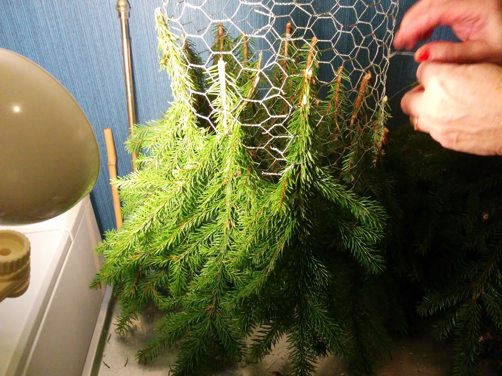 Ida Lillqvist: Gran tomte