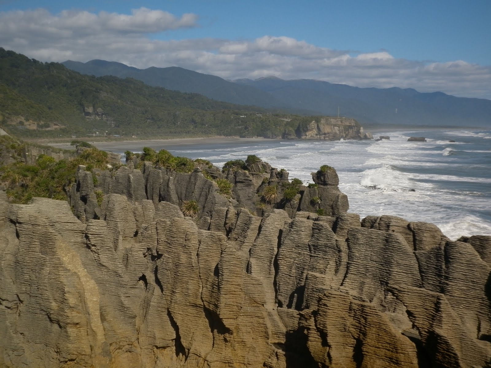 Am anderen Ende der Welt: WAITAHA VALLEY, Dairyfarm, New Zealand, 02 ...