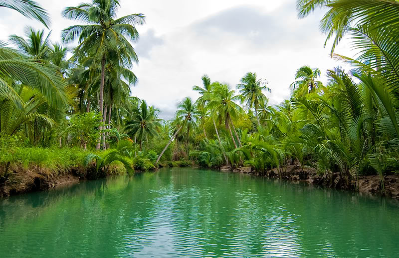 North Cebu Tourist Spots - Places to Visit in Cebu North