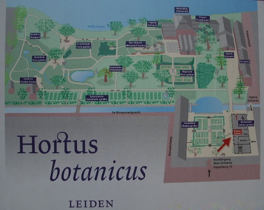 Hannah's Adventures in Europe: Hortus Botanicus