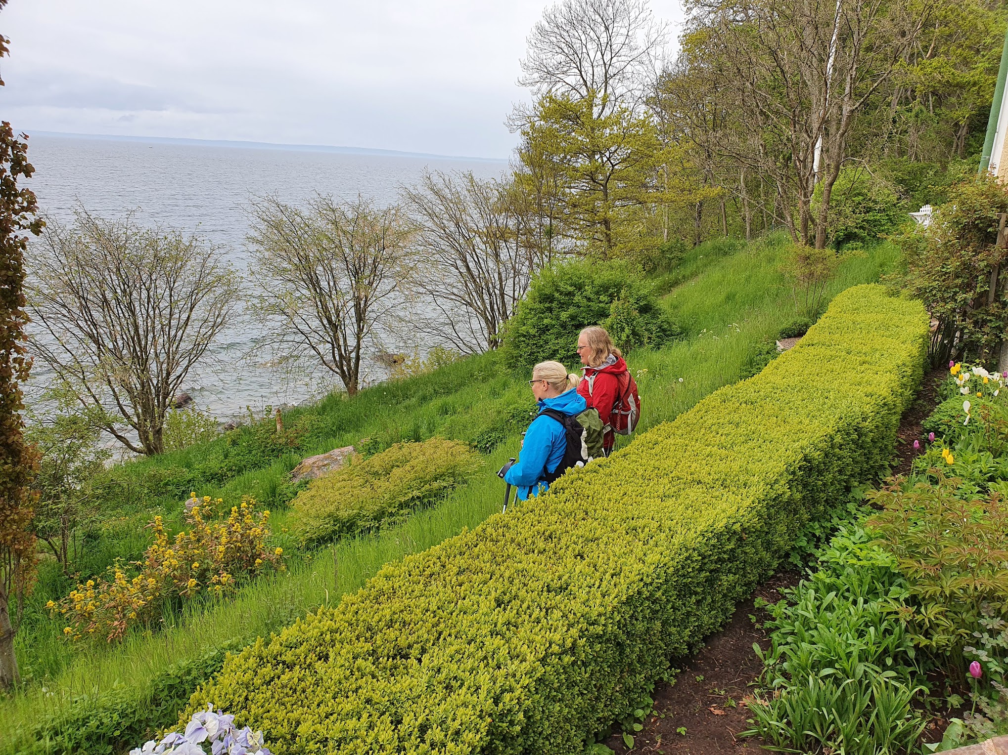 Team Vildmark: Vandring Omberg runt