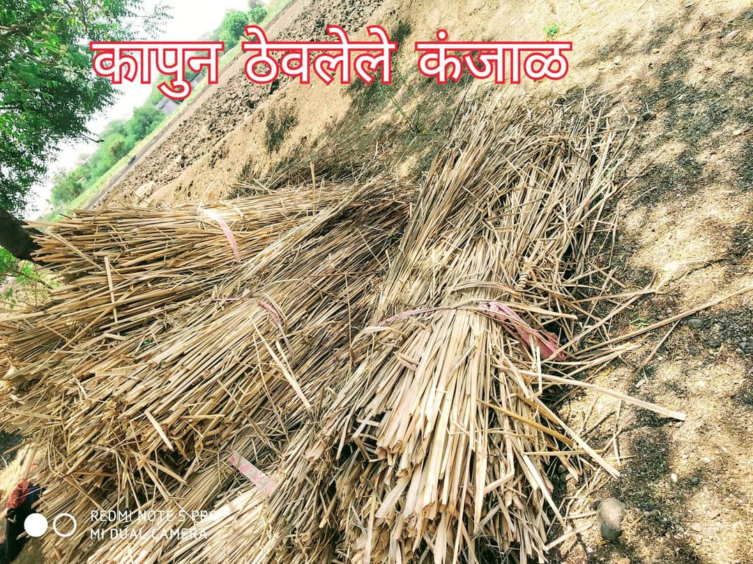 कान्होळा नदी : गावाचे वैभव हरपले! (Plight Of Kanhola River)