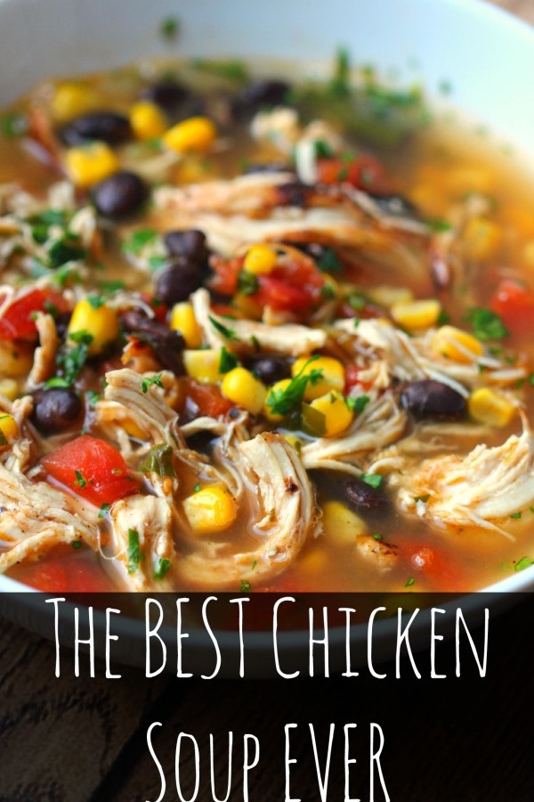 7 Soul Warming Chicken Soups Recipes to Get You Through Winter - Indrid