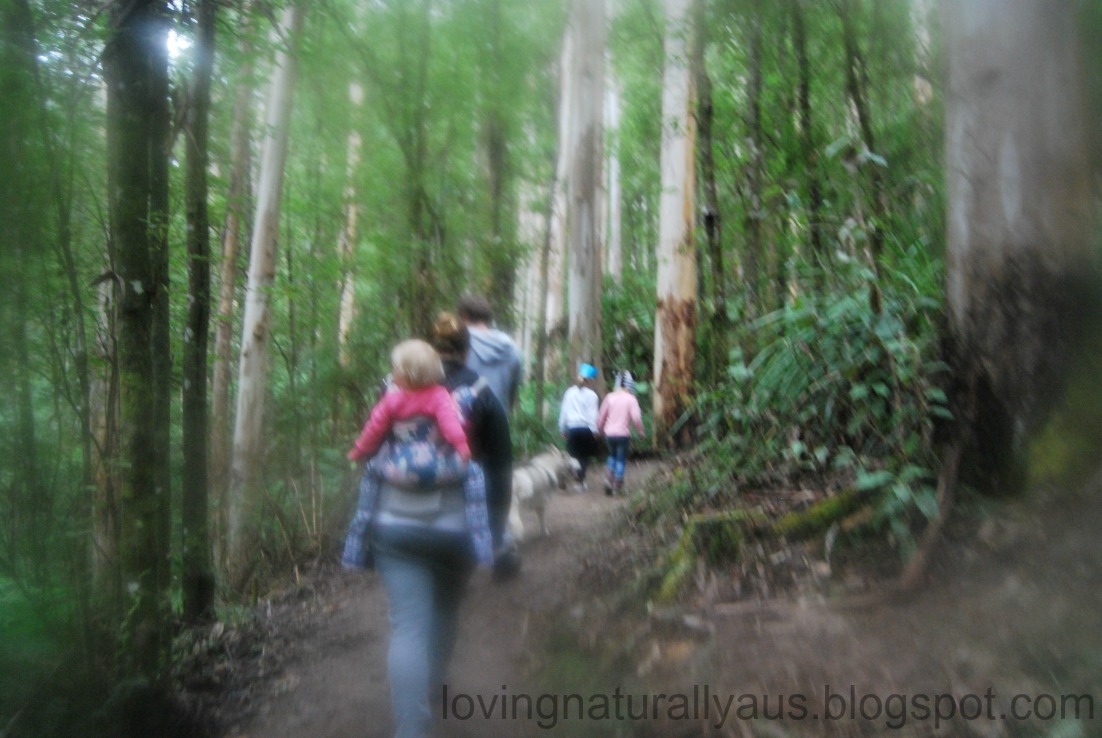 Squiggles and Bubbles: Bushwalking with Kids {Fairy Doors}