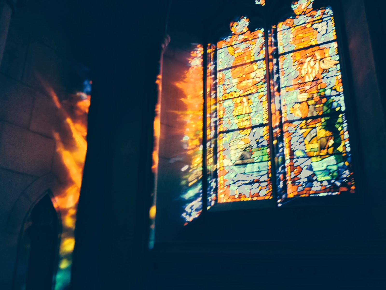 Jane Chiodini's Blog: Where did November go to?