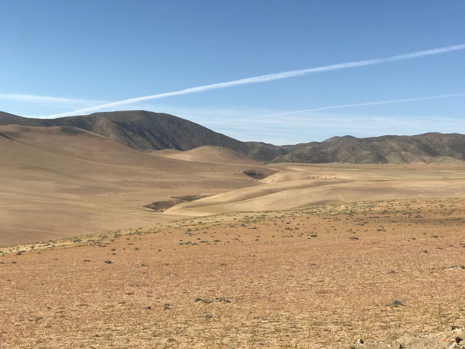 Curioseandando: diciembre 2019