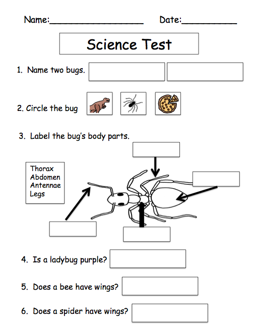Autism Tank: Science Preview: Insects