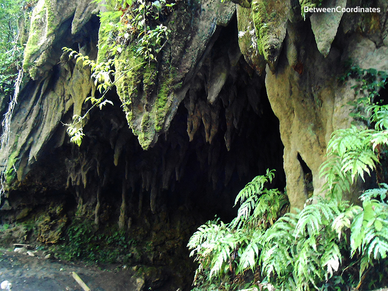 Kasadyahan Sa Capiz: It's More Fun In Roxas City Capiz!