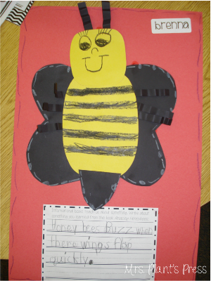 Bees and Math Centers - Primary Press