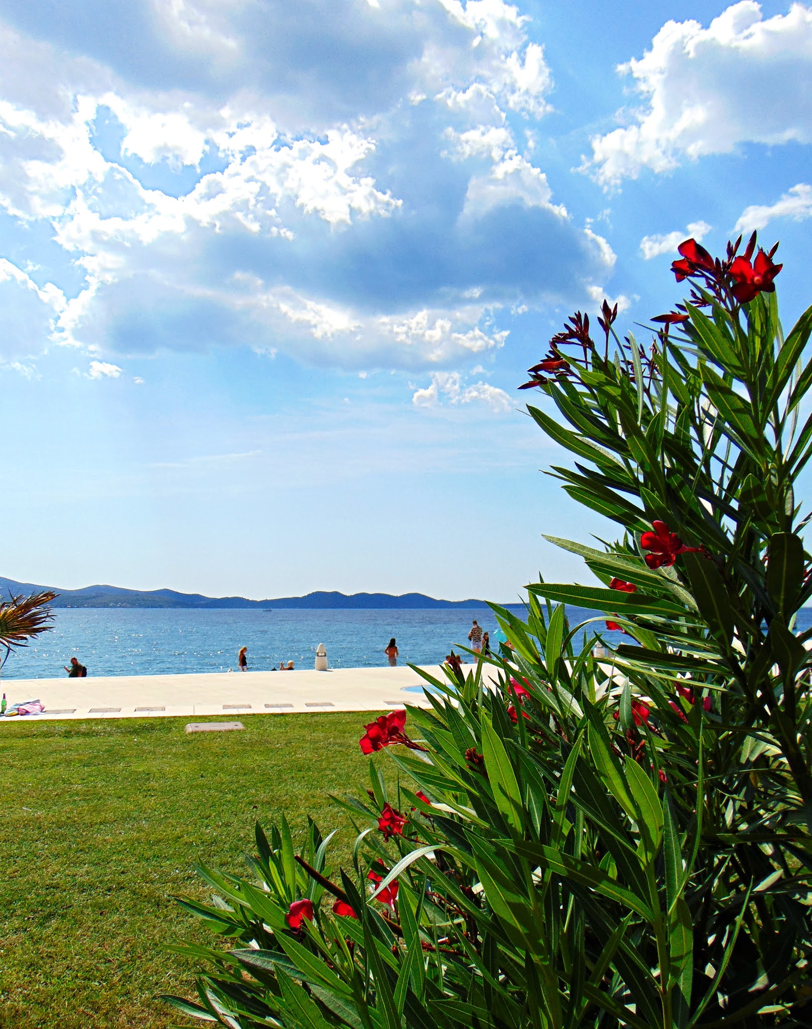 5 Things You Need To Do In Zadar | Sweet Passions