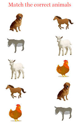 Match the correct animals
