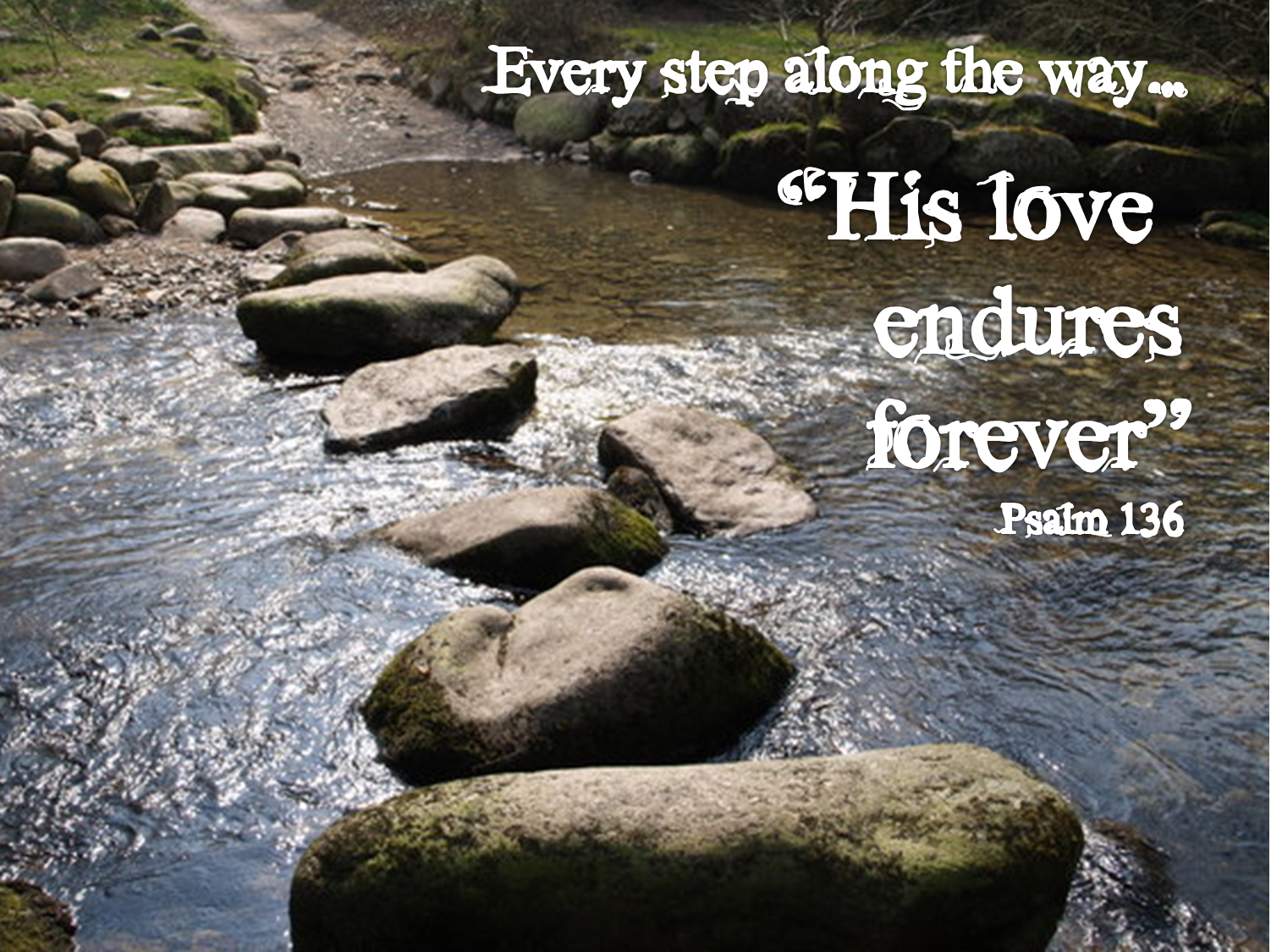 HOW IN THE WORLD!!: every step along the way his love endures forever ...