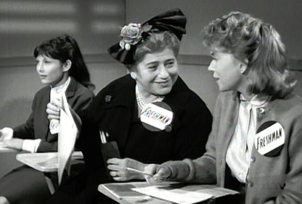 Benjamonster's TV: ONE SEASON WONDERS: Mrs. G. Goes to College