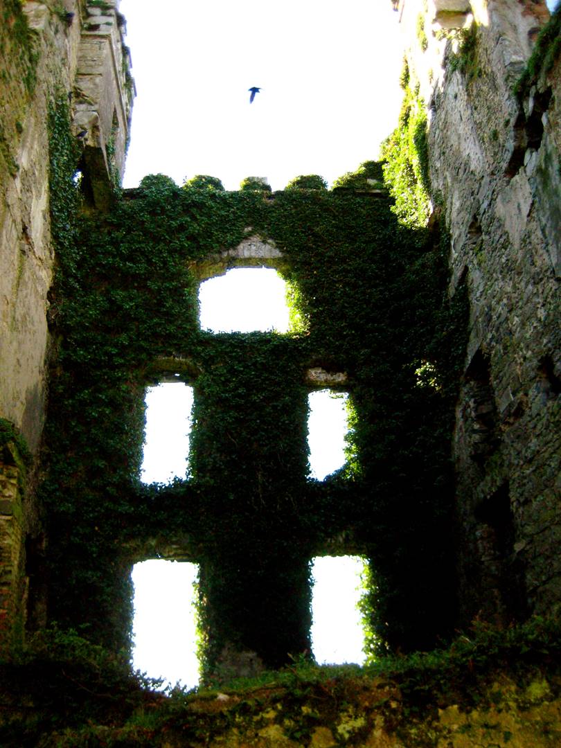Menlo Castle | Abandoned Castle In Ireland