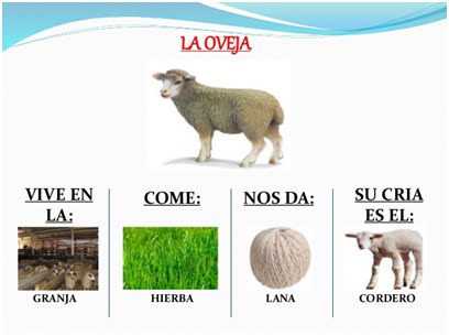 Los peques de 3 años del CEIP CIUDAD DE LOS ANGELES: LA OVEJA