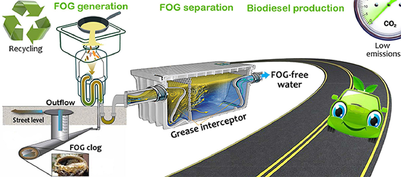 Bioenergy News: A new interesting review paper discussed the potential ...