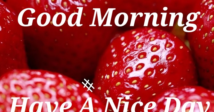 Top 10 Good Morning Images greating Pictures,Photos for Whatsapp - Good ...