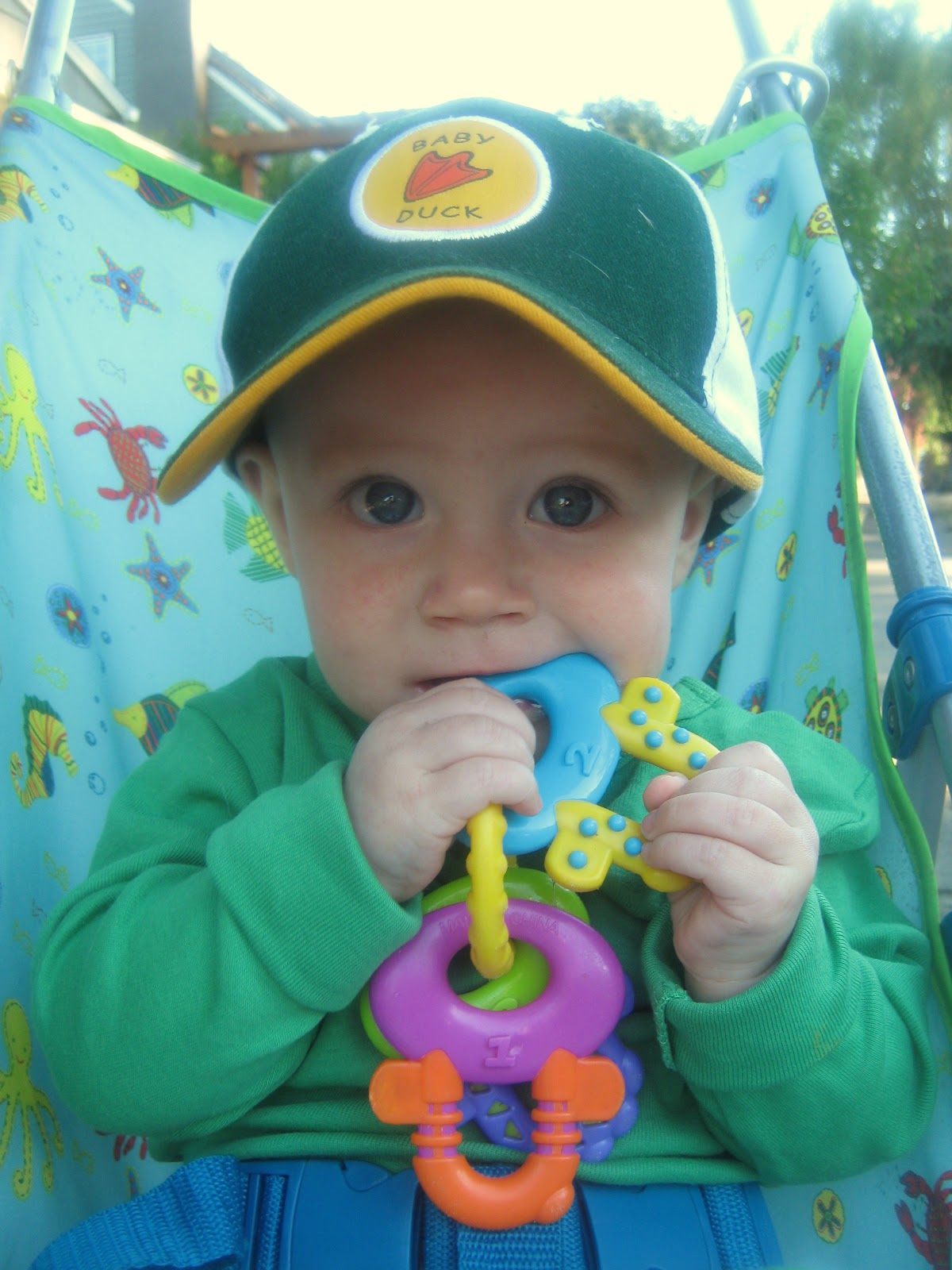 Rindy Mae: Baby's First Game