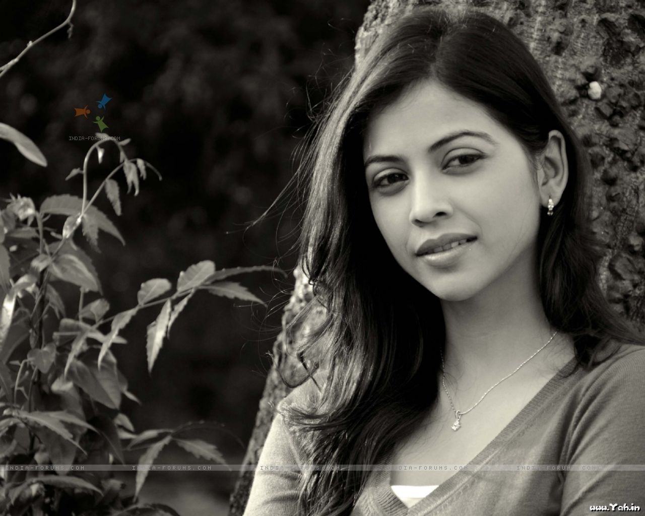 Deepali Pansare - BOLLYWOOD ADDAA | Latest Bollywood Hot Pics of ...