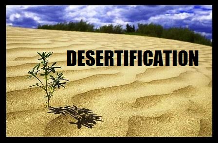 Thoughts to Promote Positive Action...: Desertification