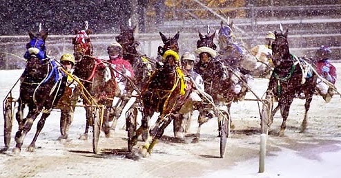 TwinSpires Blog: Year Of The Harness Horse Launches