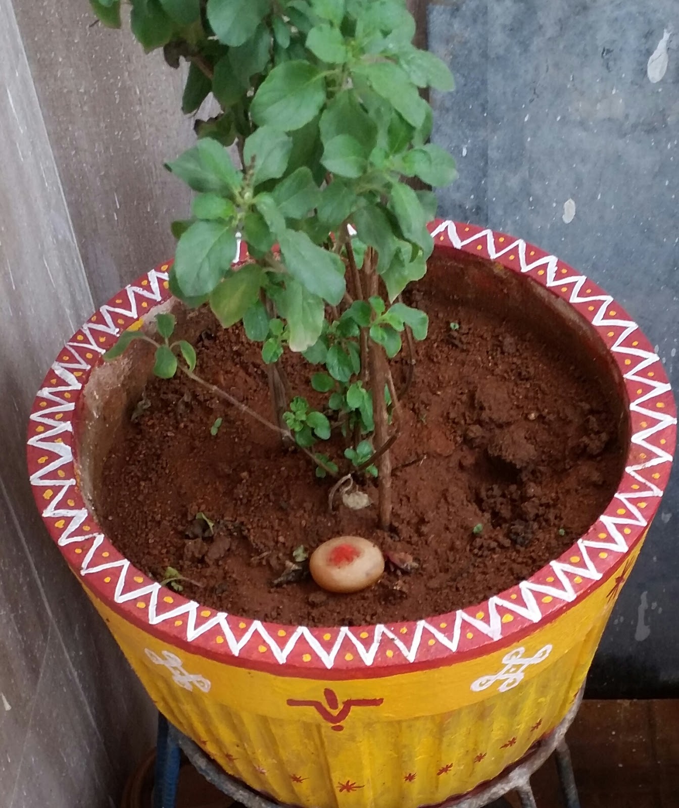 Muggulu blog: tulasi kota painting