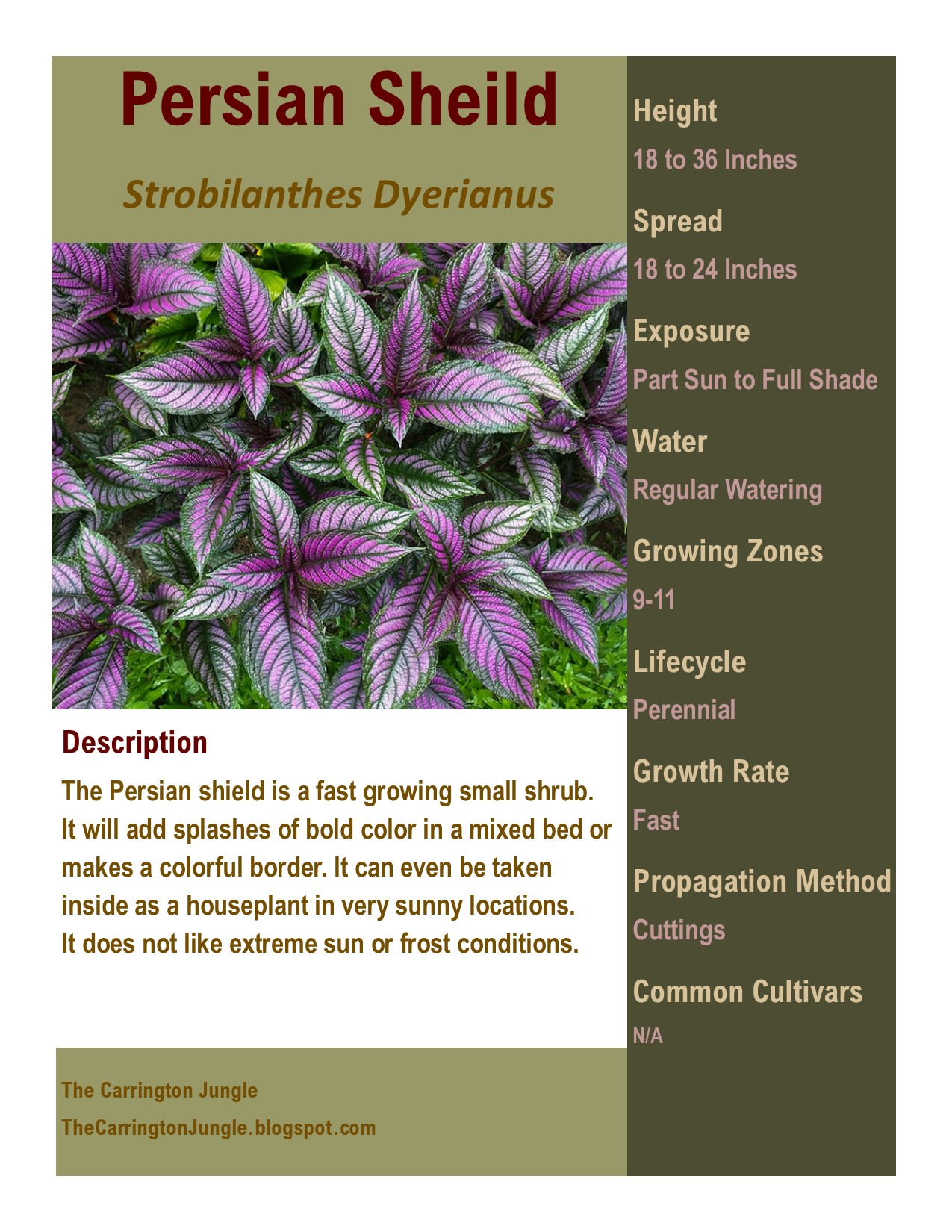 Plant Reference Sheets