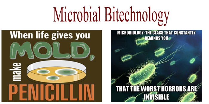 Microbial Biotechnology, Bio-processing, Fermentation; Its types ...