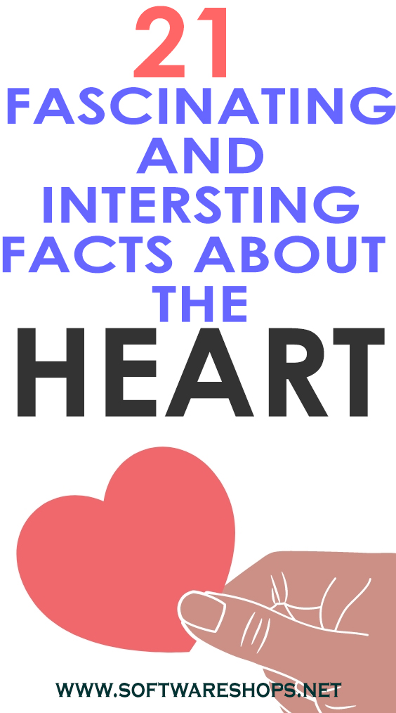 26 Fascinating And Interesting Facts About The Heart | Tech And ...