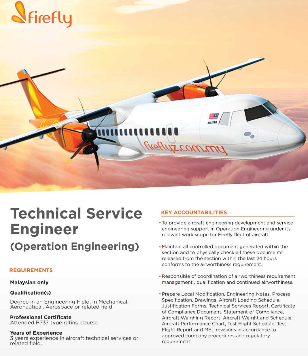 Fireflyz Air Stewardess