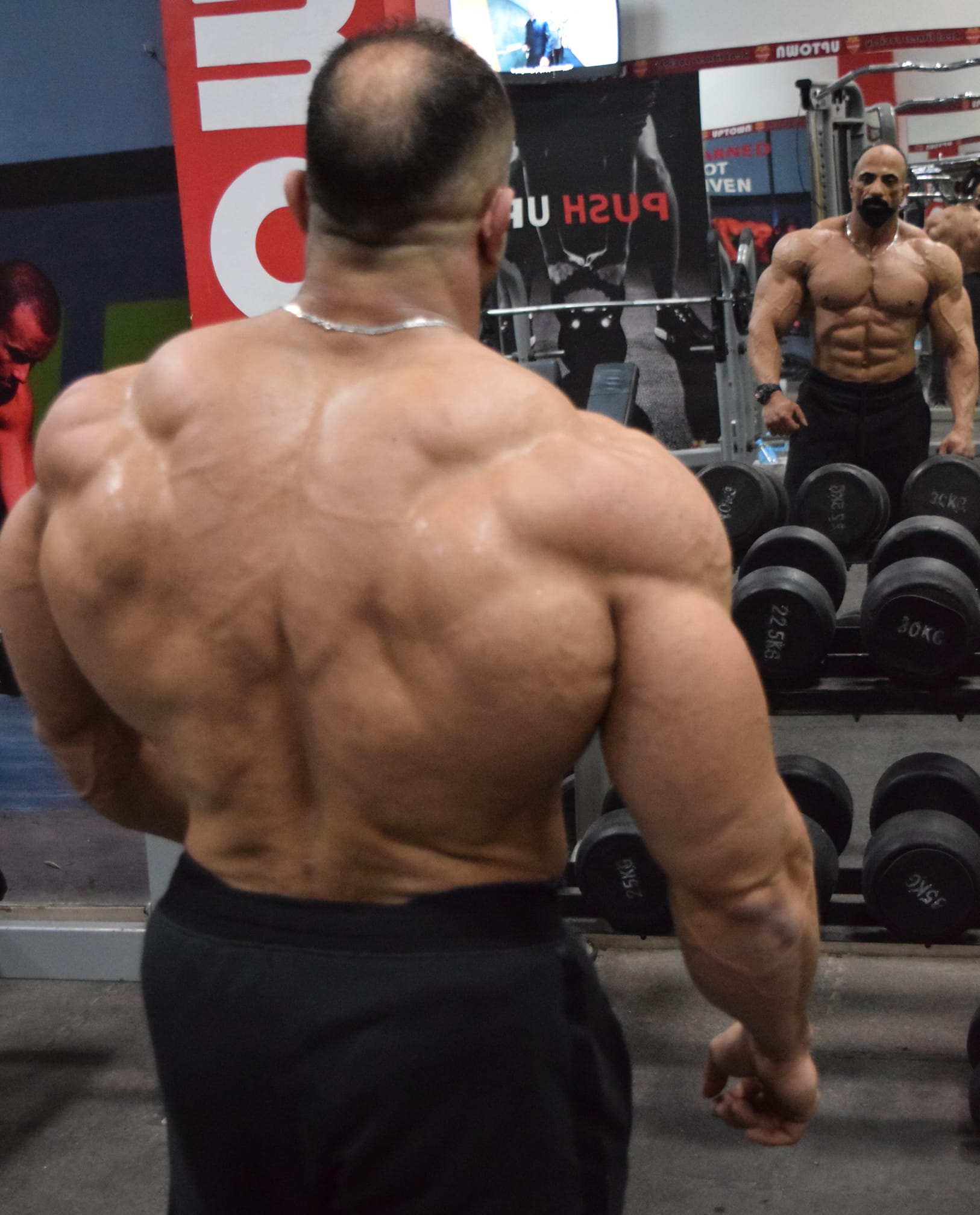 Word wide Bodybuilder Images| Best World WIde Bodybuilders