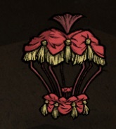 DST 2018 Celebrate the Year of the Varg with Your Special Someone and ...