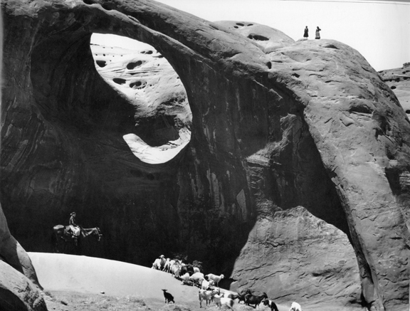 Bob Boze Bell's Big Bad Book of Bad Diary Entries: Sandra Day Desert ...